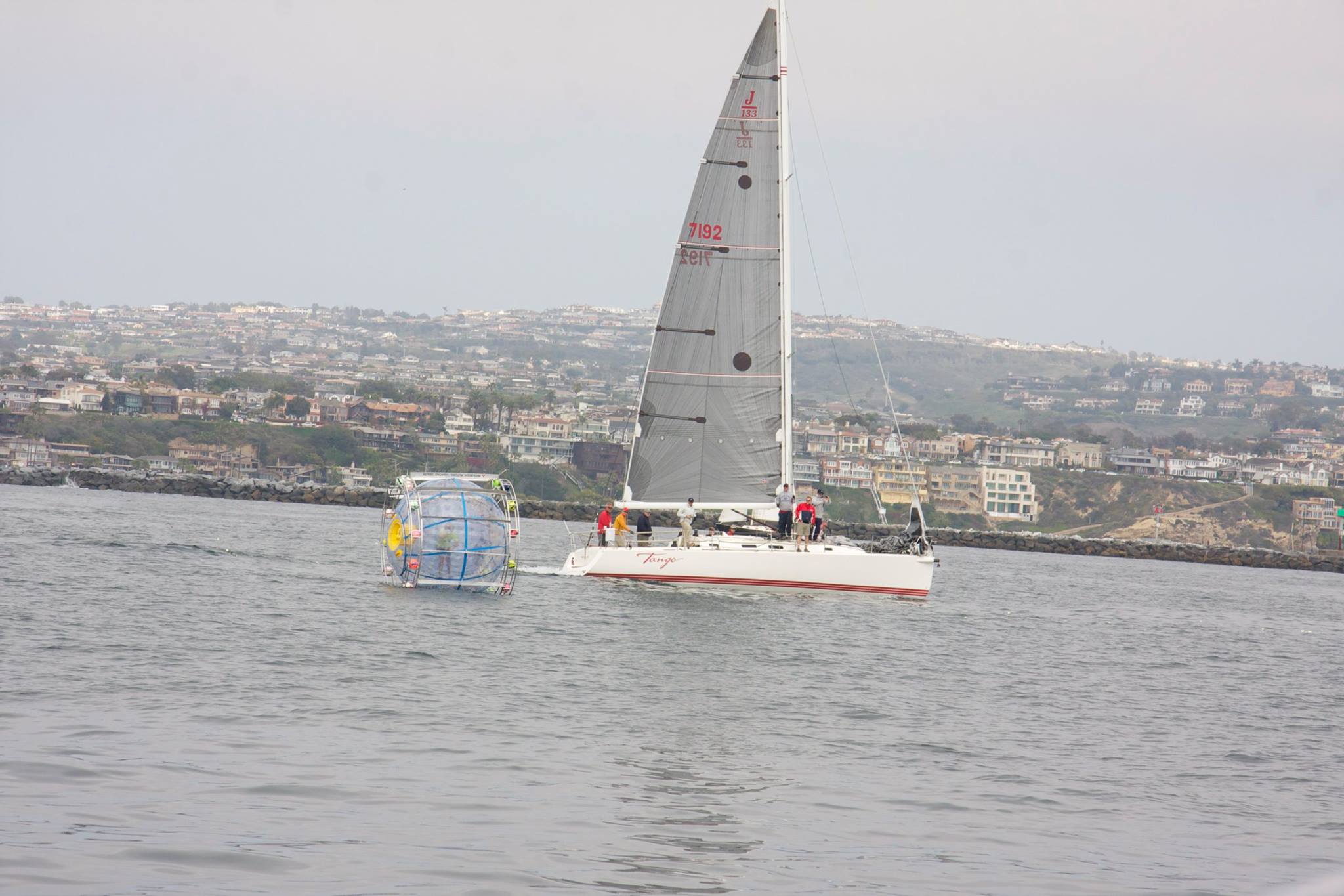 Florida Man’s Attempted Hampster-Ball Voyage Ends in Grounding