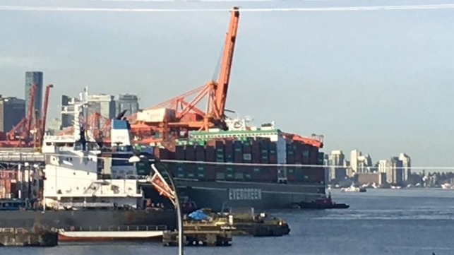 Photos: STS Crane Boom Falls Onto Container Ship